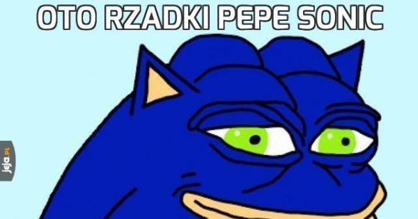 Oto rzadki Pepe Sonic - Jeja.pl