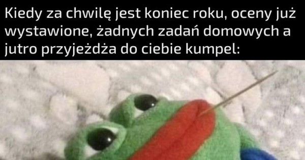 Jest w pytę kurde faja - Jeja.pl