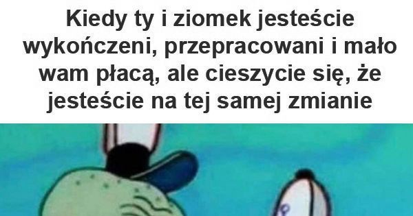 Zawsze coś - Jeja.pl
