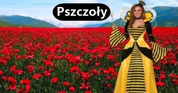 Znaj różnicę - Jeja.pl