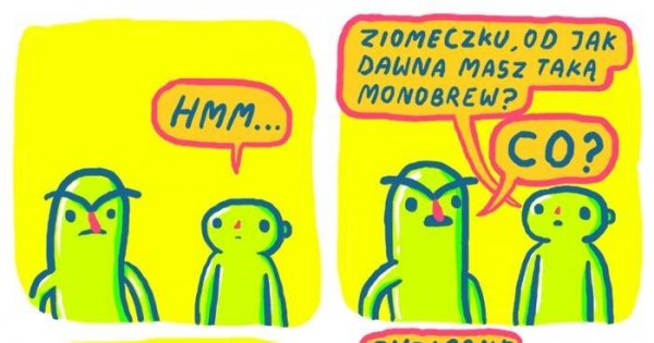 Monobrew - Jeja.pl