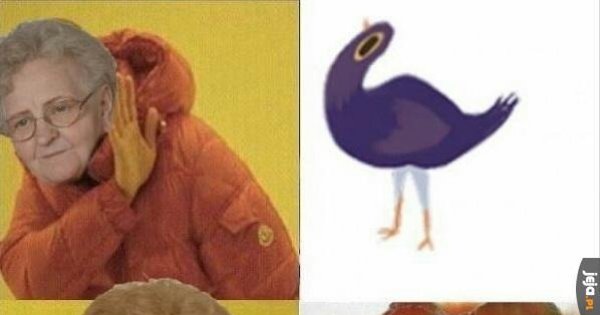 Jedyne słuszne gołąbki - Jeja.pl