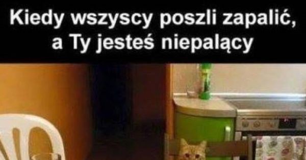 Smutno tak jakoś - Jeja.pl