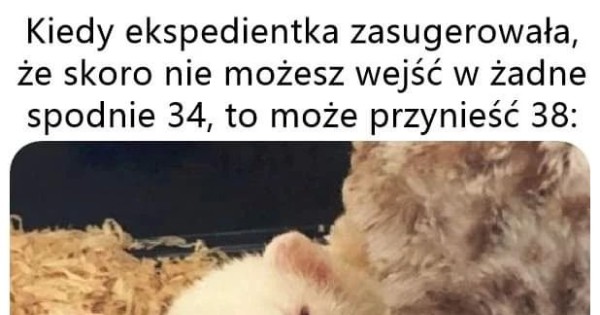 Jak śmiesz - Jeja.pl