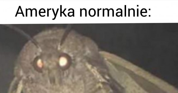 Ameryka lubi ropę - Jeja.pl