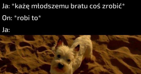 Brawo - Jeja.pl