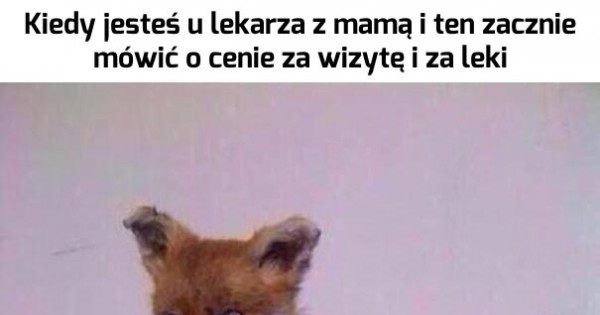 Lis 405+ Najlepszych Memów Jeja.pl