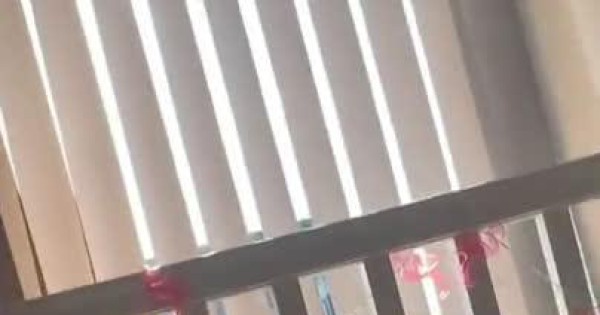 Kitku ma lagi - Jeja.pl