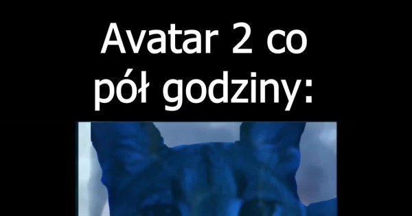 Gdzie obejrzeć jedynkę? - Jeja.pl