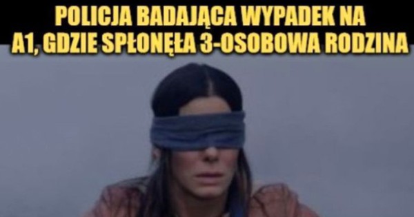 Tak na ślepo trochę - Jeja.pl