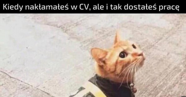 Kitku policjant - Jeja.pl