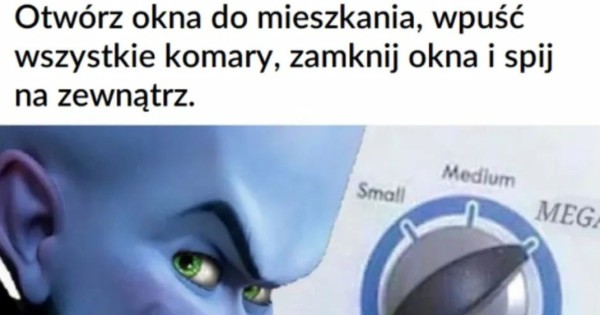 Mega Mózgu czas - Jeja.pl