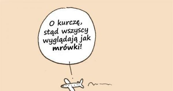 Ojej, wszyscy jak mrówki! - Jeja.pl