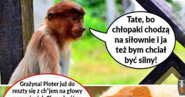 Pioter i siłownia - Jeja.pl