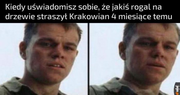 Arka Gdynia - Memy Jeja.pl