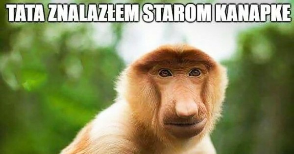 Twój Stary - Memy Jeja.pl