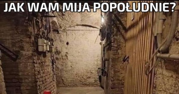 Jest w pyte - Jeja.pl