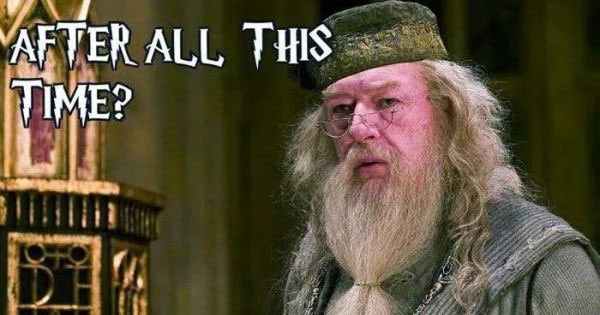 Legendarne wydawnictwa - Jeja.pl