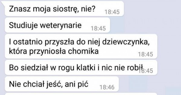 Chory chomik - Jeja.pl