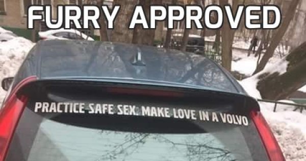 Furry approved - Jeja.pl