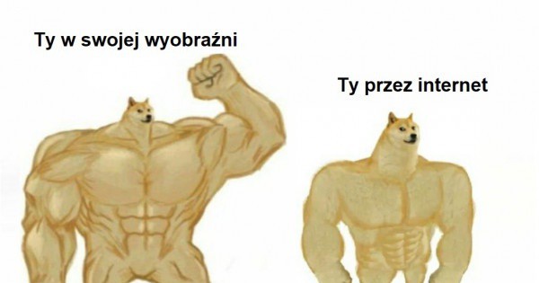 Coś w tym jest... - Jeja.pl