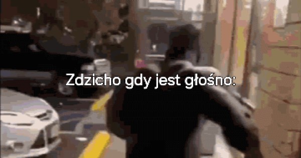 Zdzicho posting - Jeja.pl