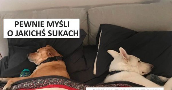 A Ty o czym myślisz? - Jeja.pl