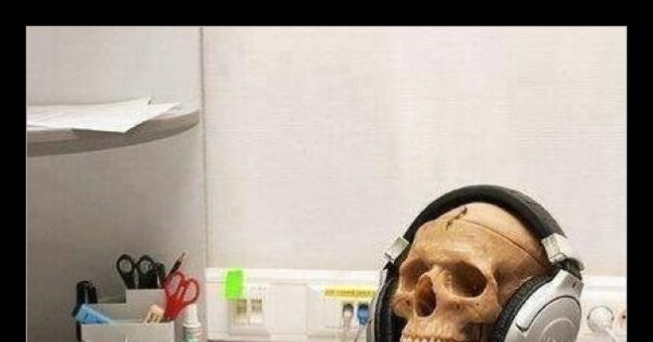 Styrta się pali! - Jeja.pl