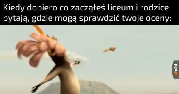 A tak serio to chyba bym im nie powiedział xD - Jeja.pl