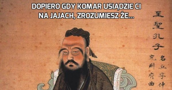 Dopiero gdy komar usiądzie Ci na jajach, zrozumiesz że... - Jeja.pl