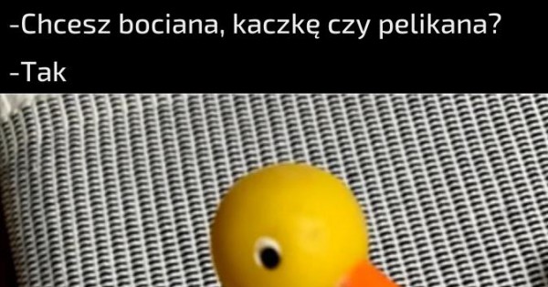 No to masz - Jeja.pl