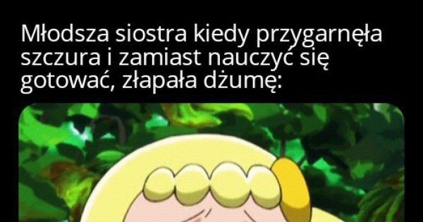 Dżuma, Ebola, Cholera! Kowalski, bez wyrazów! Nie przy szeregowym - Jeja.pl