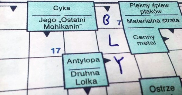 CУKA БЛЯТЬ - Jeja.pl