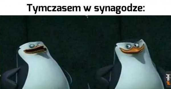 Jeden rabin powie tak, a drugi rabin powie nie - Jeja.pl