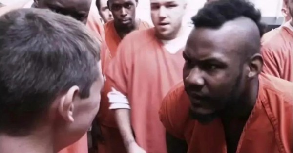 Gdzie świnia? - Jeja.pl