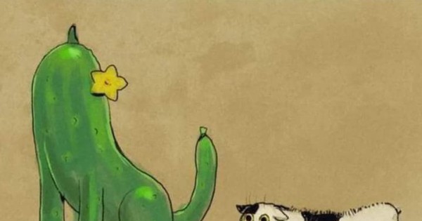 Najwększy koci koszmar - Jeja.pl