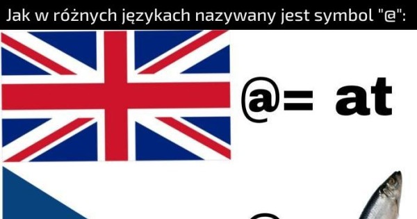 Hmmm... monke - Jeja.pl