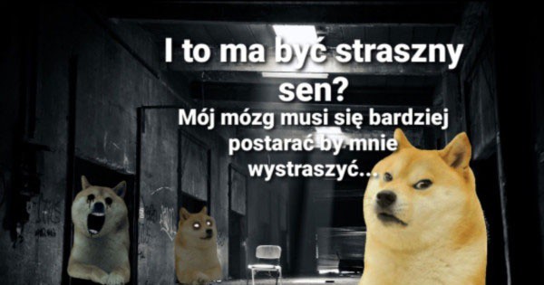 Koszmar nad koszmary - Jeja.pl