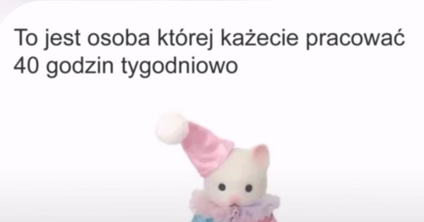 Dosłownie - Jeja.pl