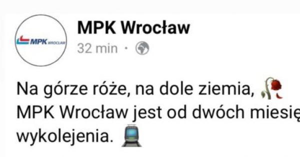 Brawo! - Jeja.pl