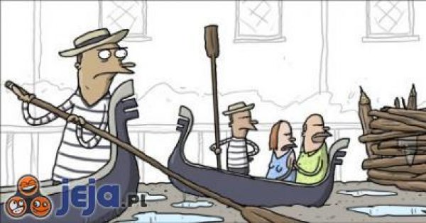 Bobry pojawiły się w Wenecji - Jeja.pl