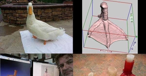 Kaczka bez nogi - Jeja.pl