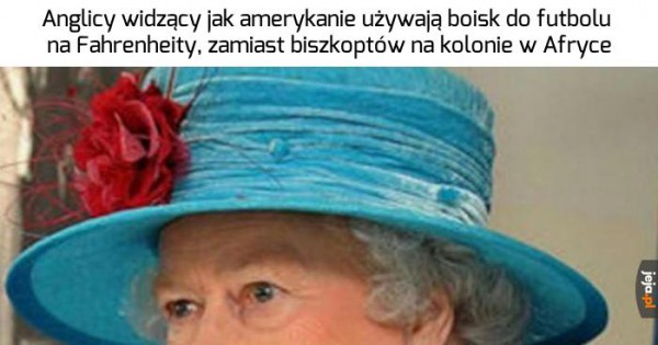 Dzikusy - Jeja.pl