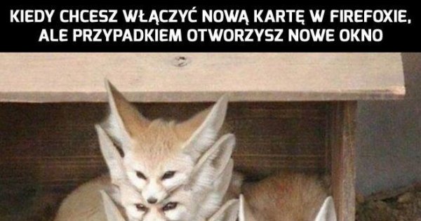 Pomyłeczka - Jeja.pl