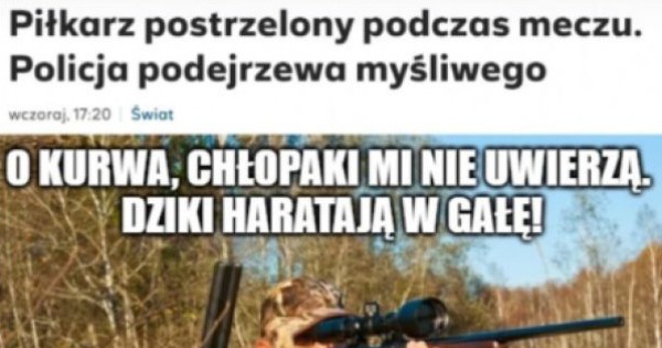 Dzik 136+ Najlepszych Memów Jeja.pl