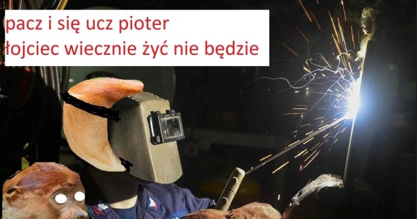 Bo Pioter w życiu chodzi o coś więcej niż o wzrok - Jeja.pl