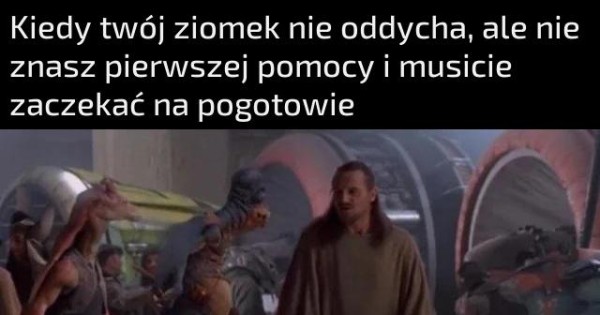 Duszenie 222+ Najlepszych Memów Jeja.pl