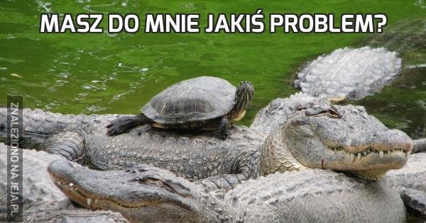 Masz do mnie jakiś problem? - Jeja.pl