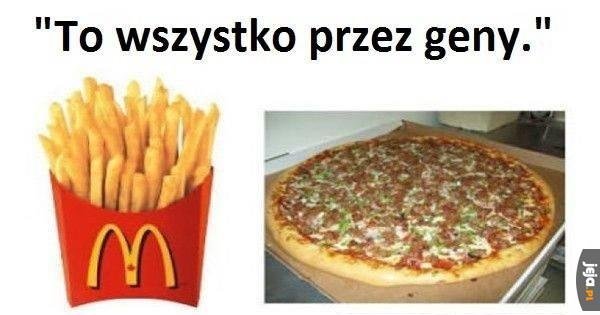 Starter Pack - Jeja.pl