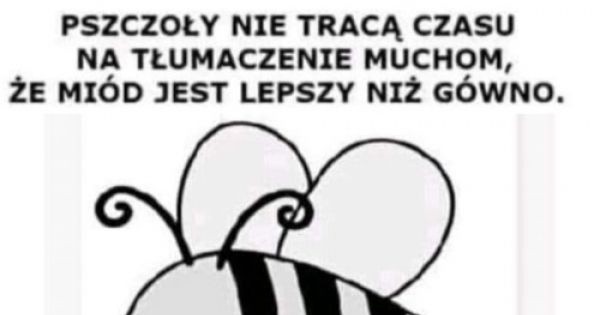 A Ty jesteś pszczołą czy muchą? - Jeja.pl
